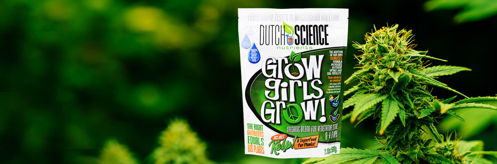 Dutch Science Nutrients