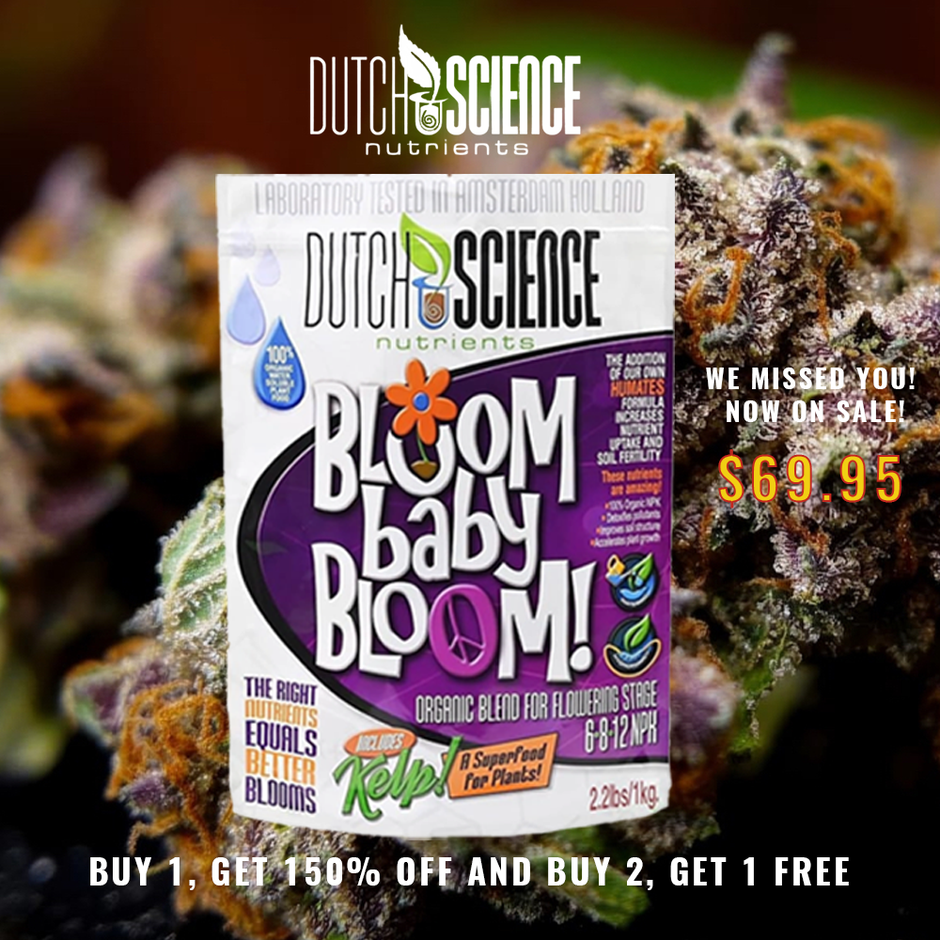 Dutch Science Nutrients